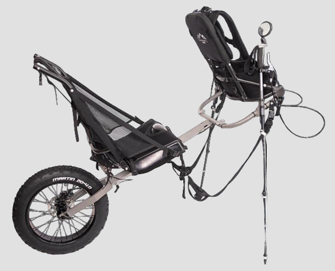 Cascade Tandem Hiking Cart | Make Trails Accessible – Huckleberry ...