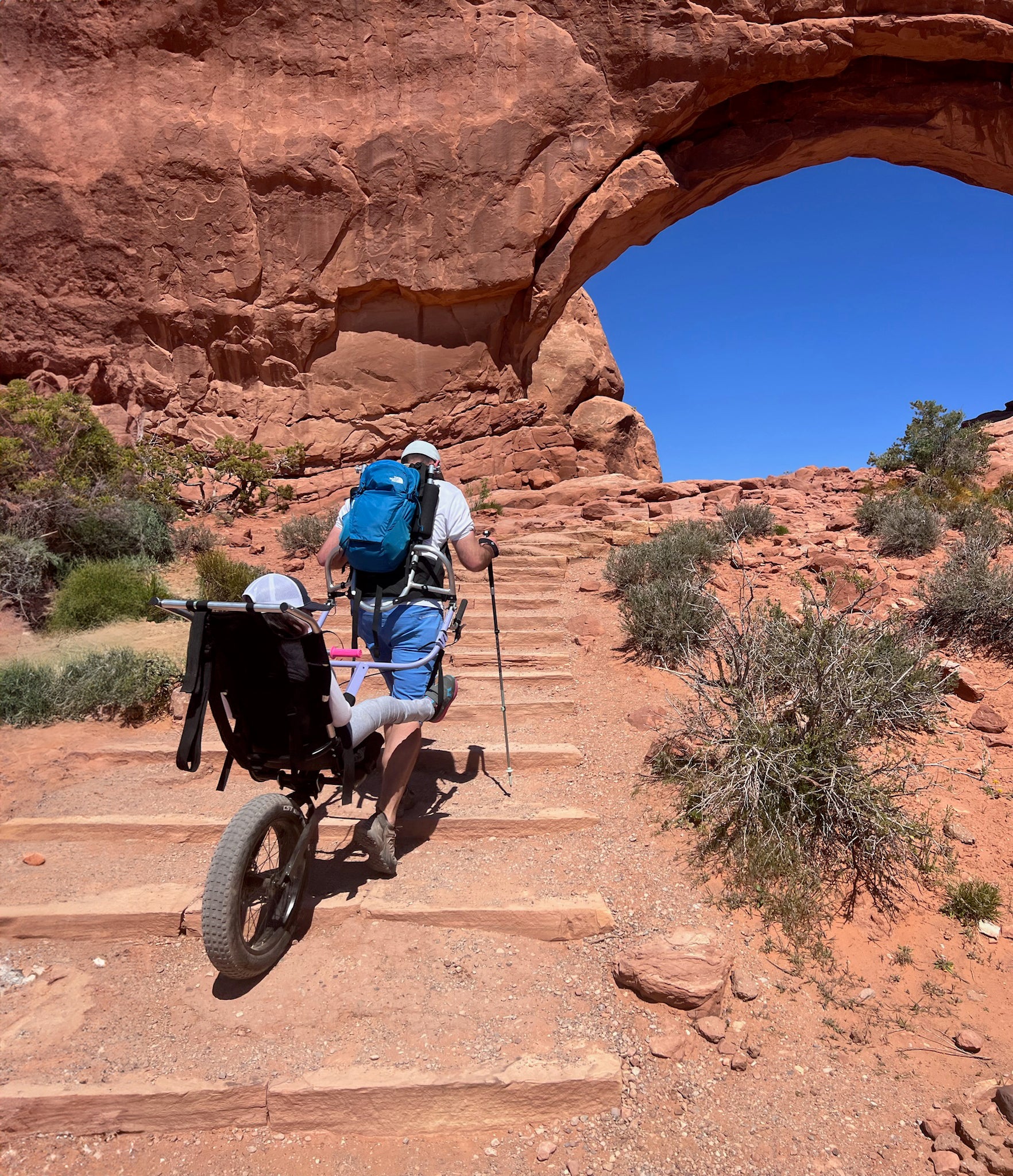 Cascade Tandem Hiking Cart | Make Trails Accessible – Huckleberry ...